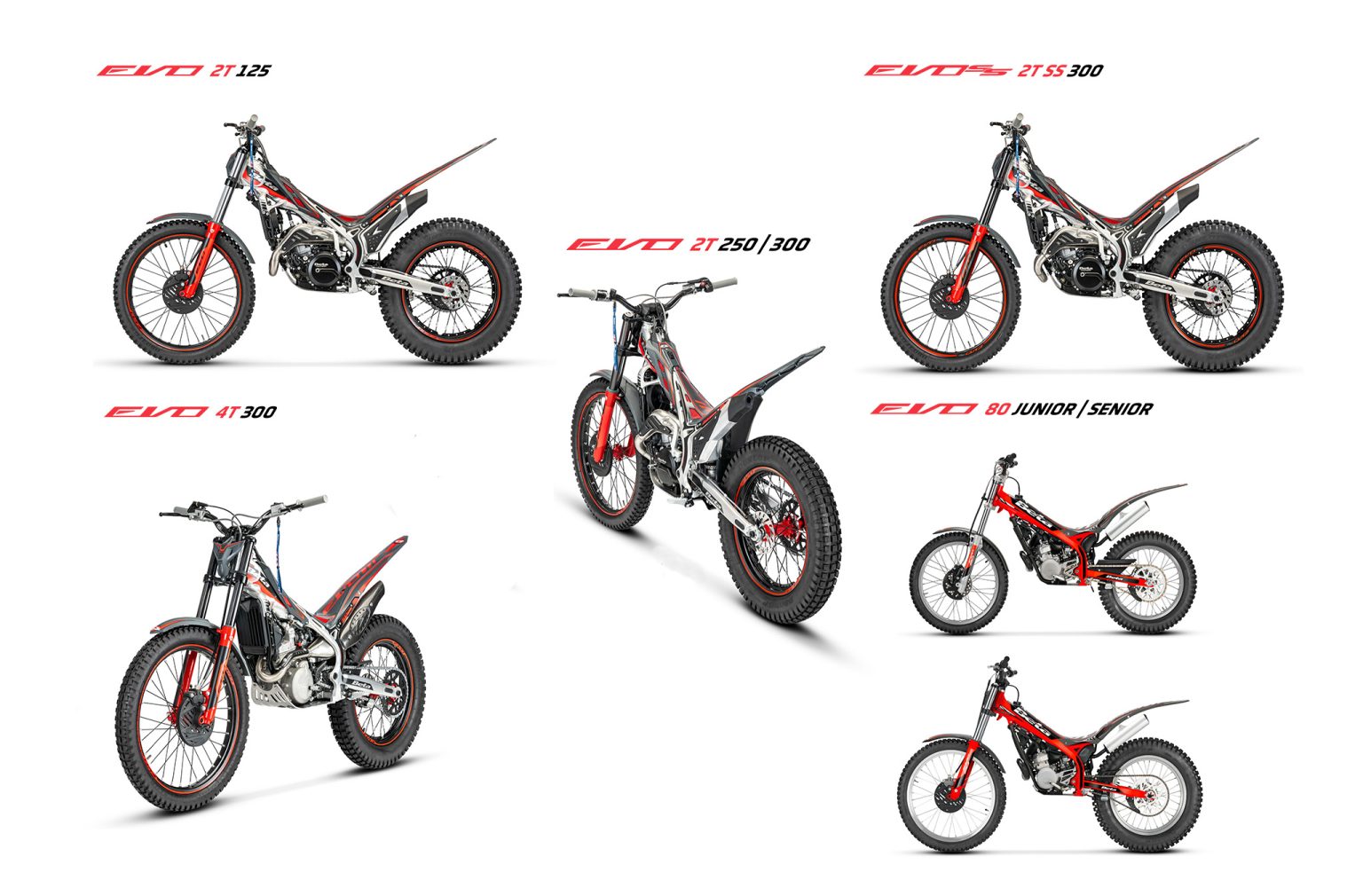 EVO MY2024 - Beta motorcycles
